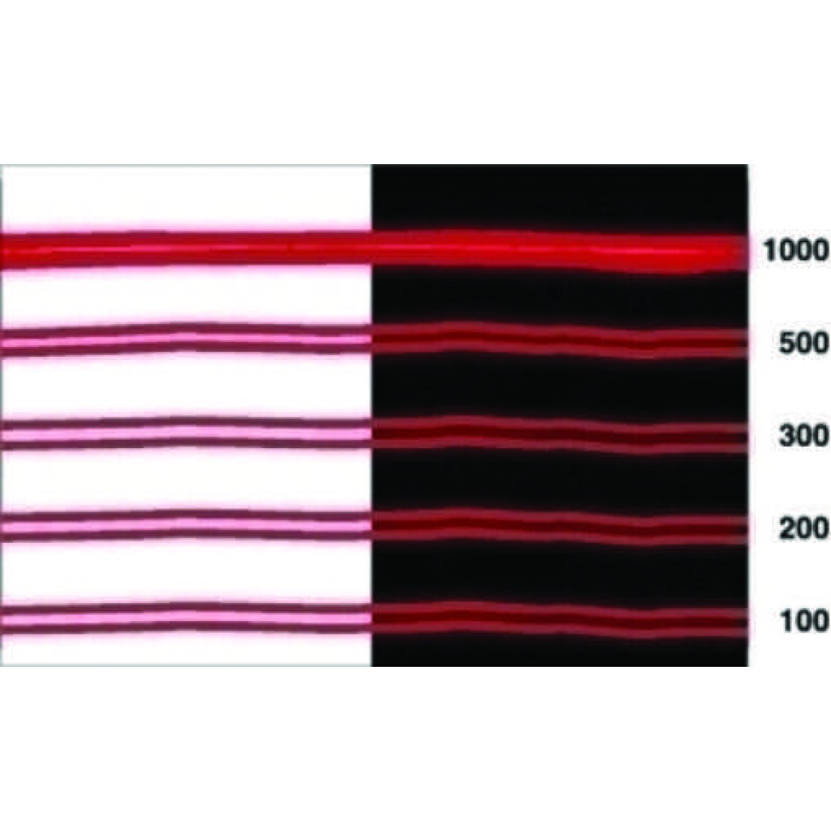 Leveling Tester - SprayQuick Systems
